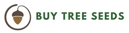 Buy Tree Seeds – Start Planting Trees Today
